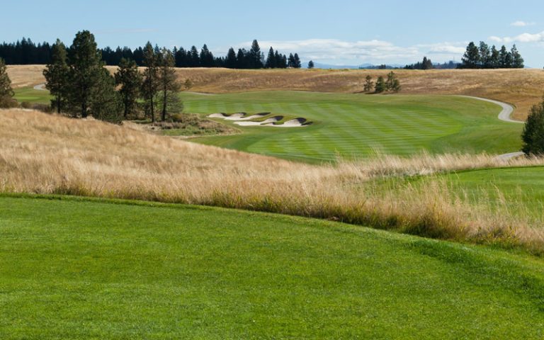 Native Grasses | Turf & Irrigation