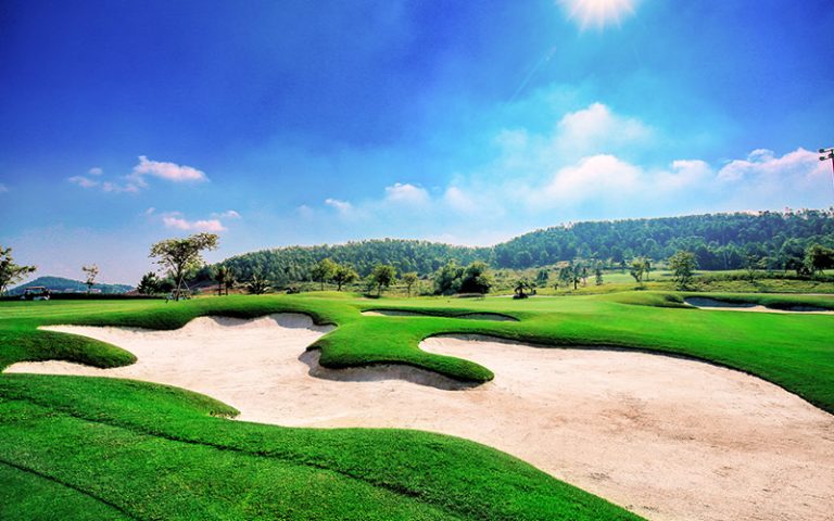 Paspalum Turfgrass | Salt Tolerance For Golf And Landscape